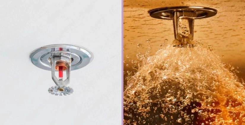 Fire Protection Sprinkler Systems Benefits & Uses in UAE